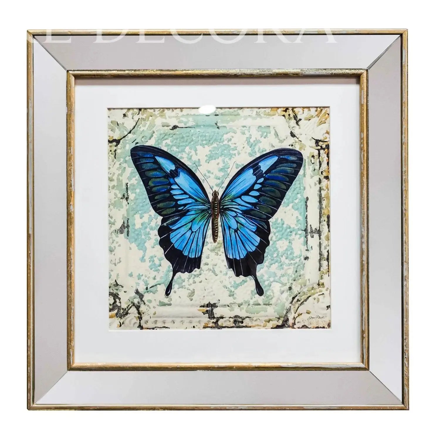 Cuadro Mariposa Blue marco espejo doré - Re Decora
